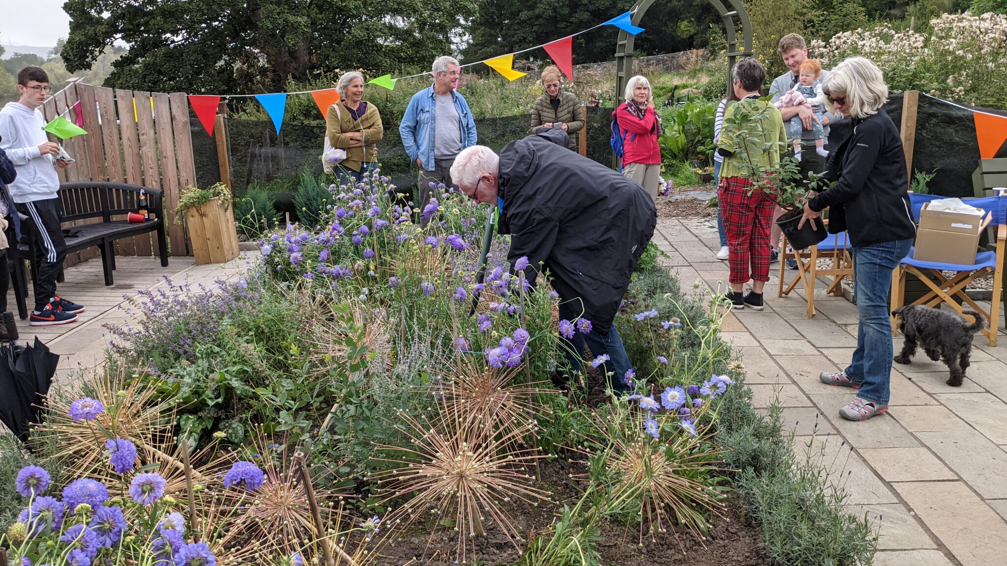 We just turned one year old! | Jock Tamson's Gairden